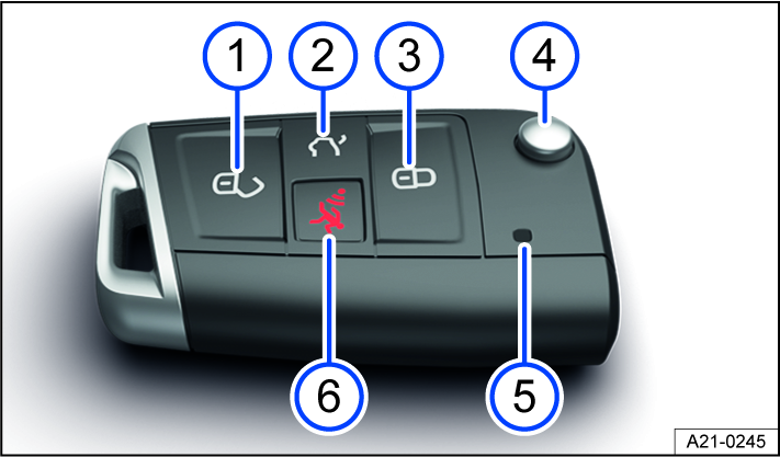 Vehicle key 2022 Volkswagen Tiguan | Owner’s Manual